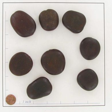 Blue Whale Arts | Blue Whale Arts