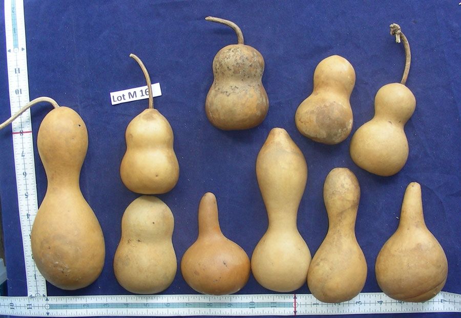 Blue Whale Arts | Blue Whale Arts