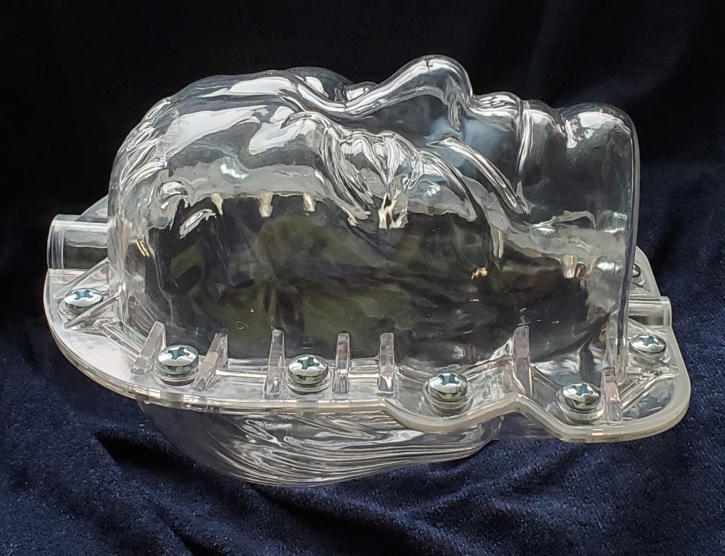 Blue Whale Arts | Blue Whale Arts