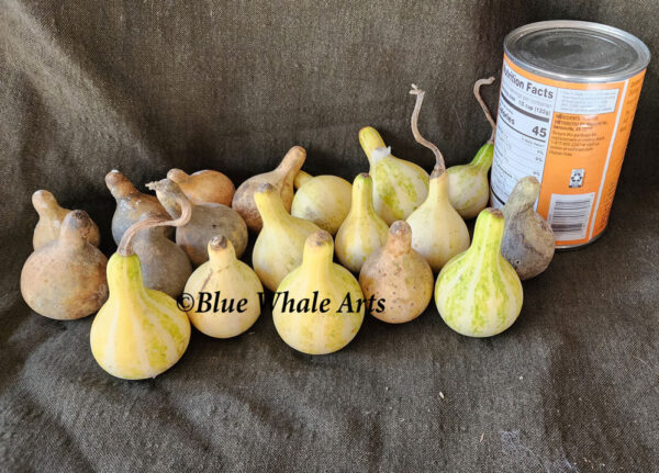 Blue Whale Arts | Blue Whale Arts