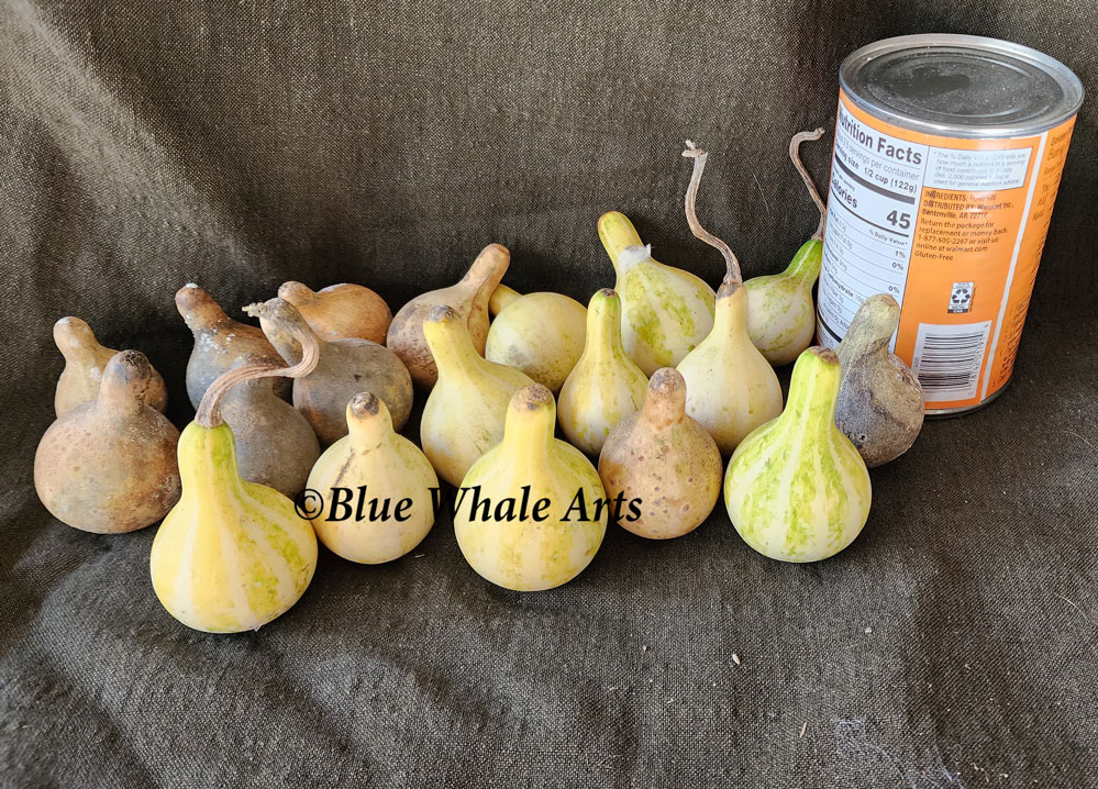 Blue Whale Arts | Blue Whale Arts