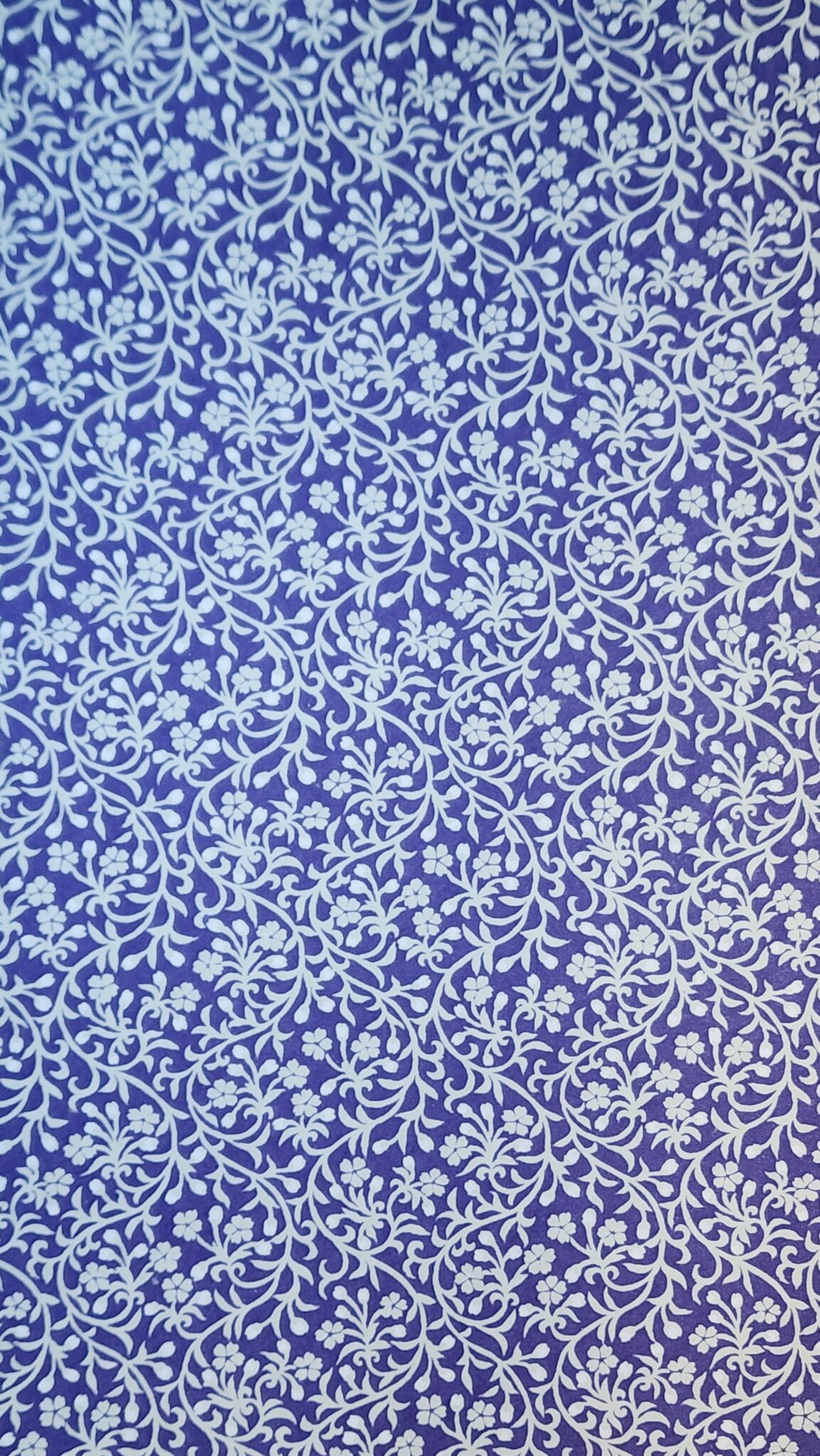 Blue Whale Arts | Blue Whale Arts